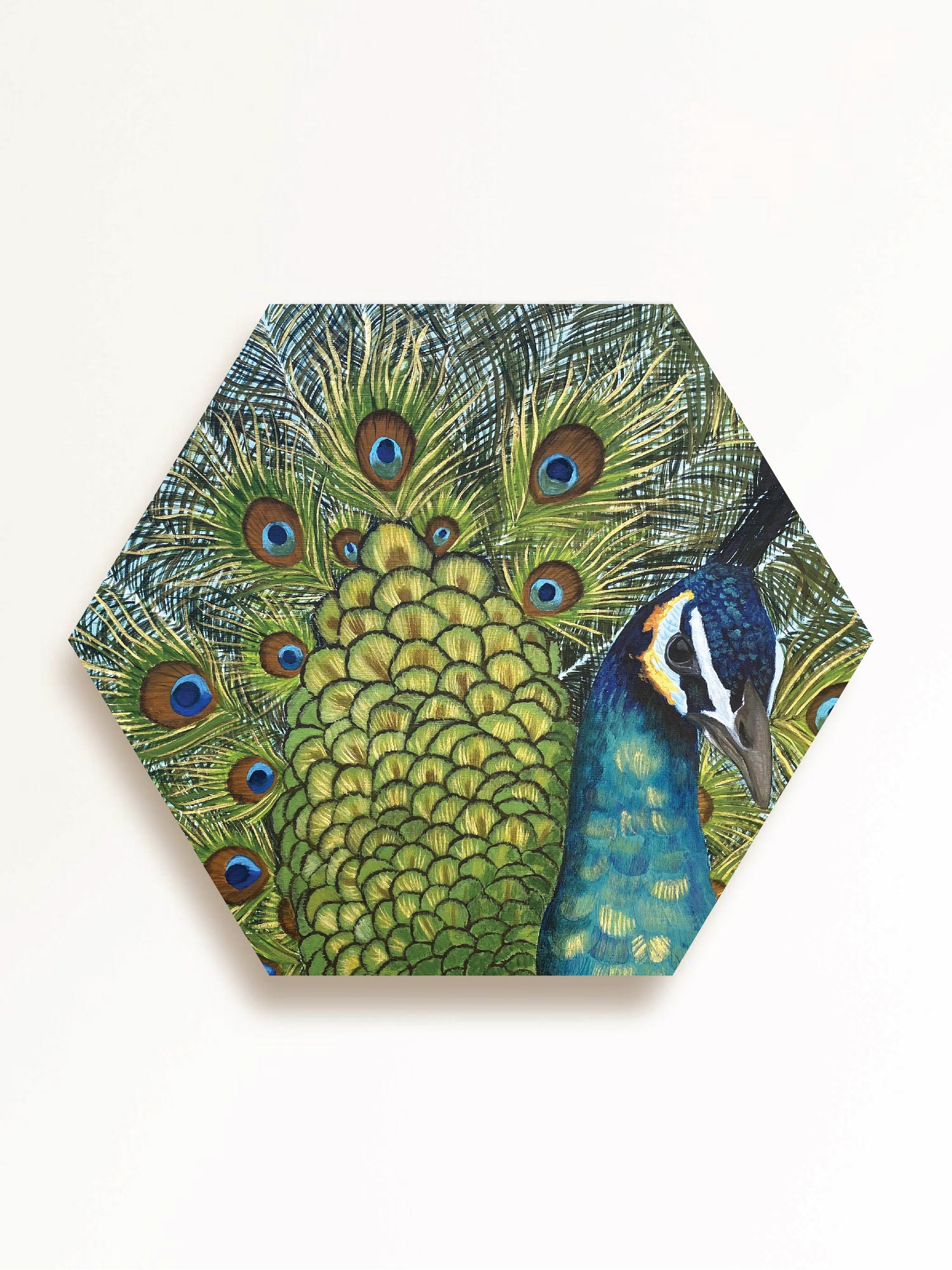 The Confident Peacock WOOD HEXAGON PRINT – Claire Jane Johnson Art