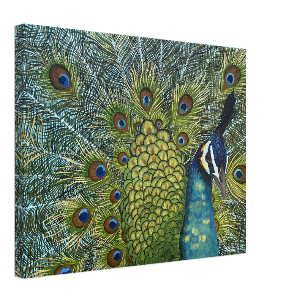 Strut Like a Peacock CANVAS PRINT – Claire Jane Johnson Art